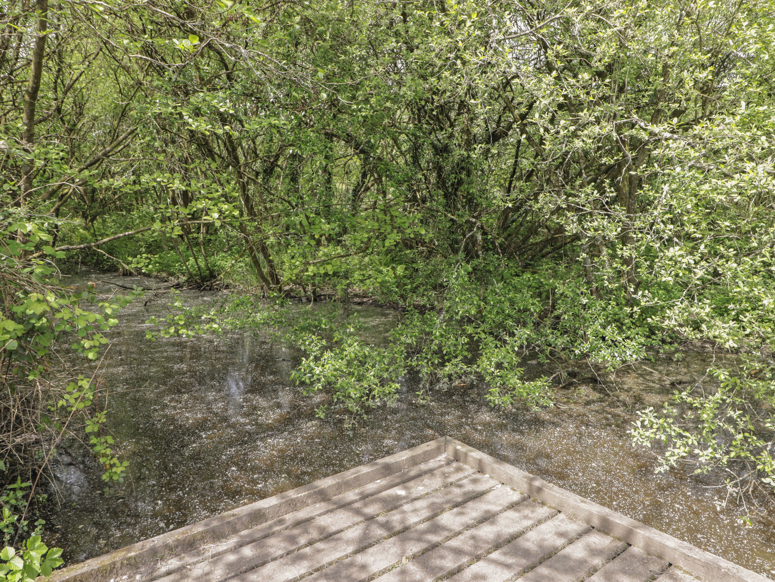 Casa de campo | Parte interna