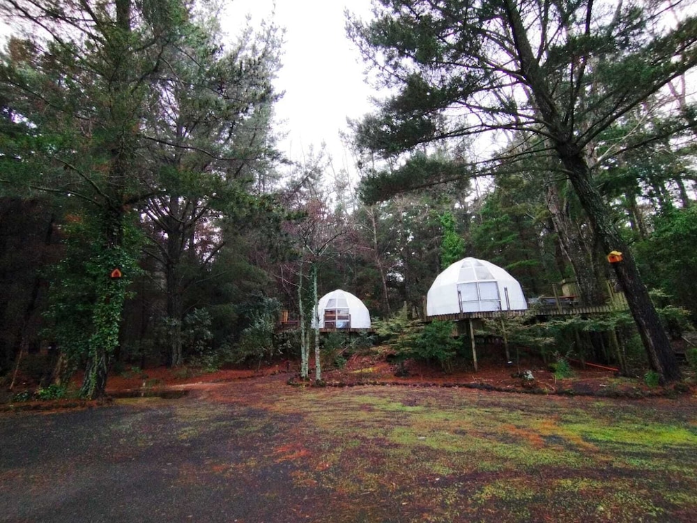 Magma Lodge Pucon - Neuquen