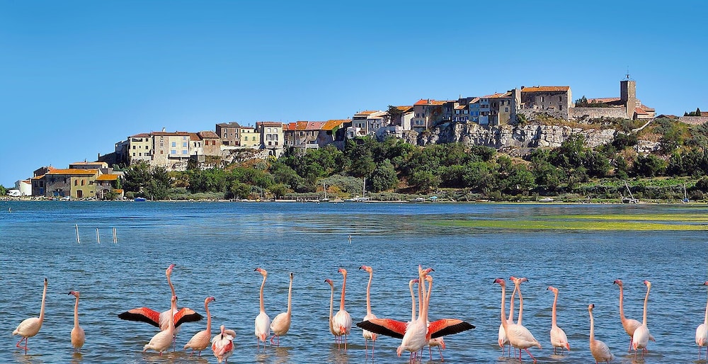 La Lagune - Peyriac-de-Mer