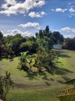 Jardim bem cuidado com diversas plantas tropicais e área cercada.
