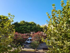 Uma carrinha branca estacionada num parque com árvores e flores cor-de-rosa.