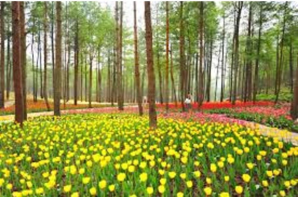 Charming 2 Bedroom House W/ Heating - Coleman State Park, Stewartstown