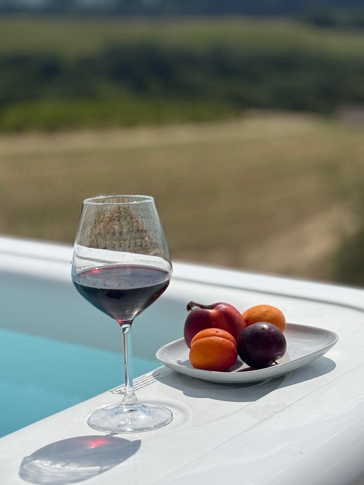 Um copo de vinho tinto ao lado de uma tábua de frutas à beira da piscina.