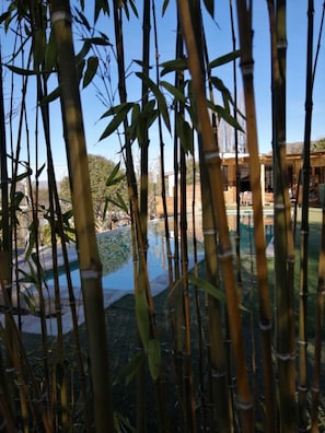 Piscina exterior 