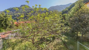 Um pátio arborizado com vista para uma cordilheira.