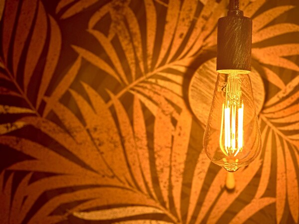 La Hour House – Esc’appart - Houyet