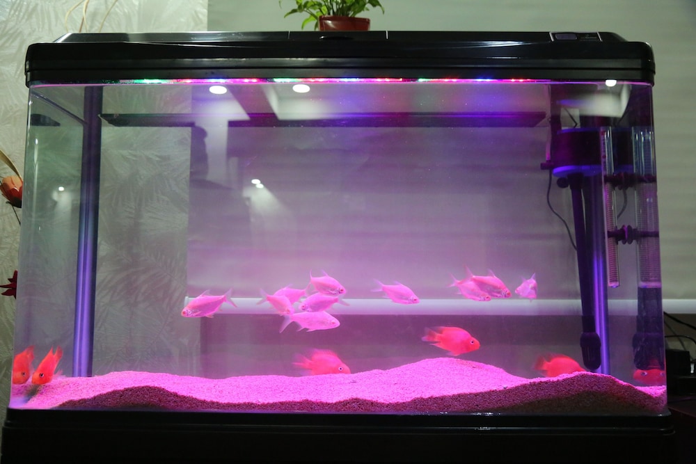 Hotel Bangalore Airport Inn - Bangalore