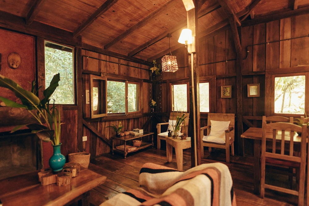 Margay - Reserva Natural Y Lodge - Provincia de Misiones