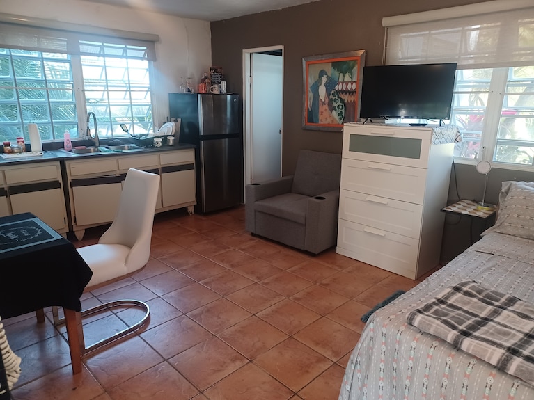 Swim & Paint Art Retreat/adventures - Puerto Rico