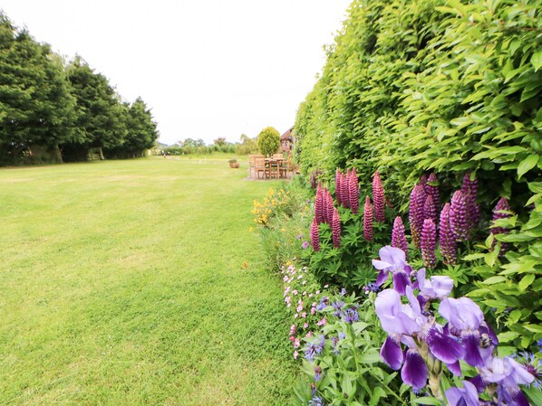 Terrenos do alojamento