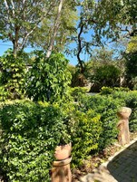 Um jardim com diversas plantas e árvores, um caminho e uma estrutura de pedra.