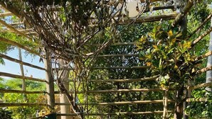 Uma área de refeições ao ar livre com pérgola, cadeiras de metal e mesa posta para dois.