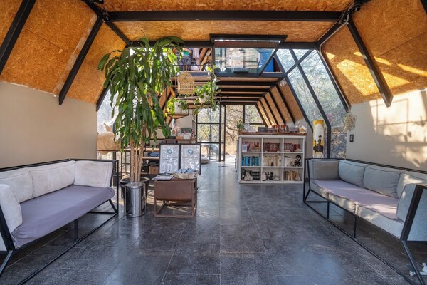 Bosque Geométrico - Morelos