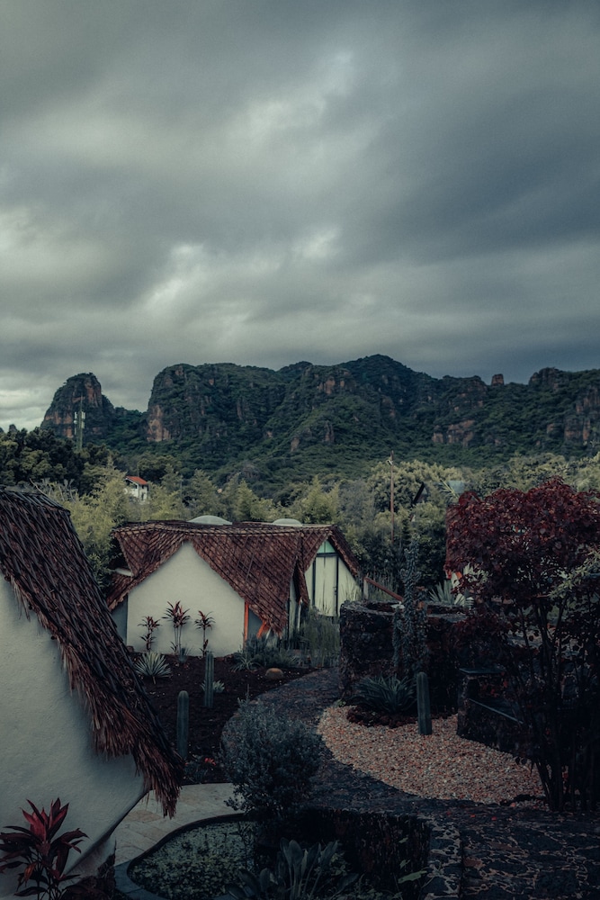 Bosque Geométrico - Morelos