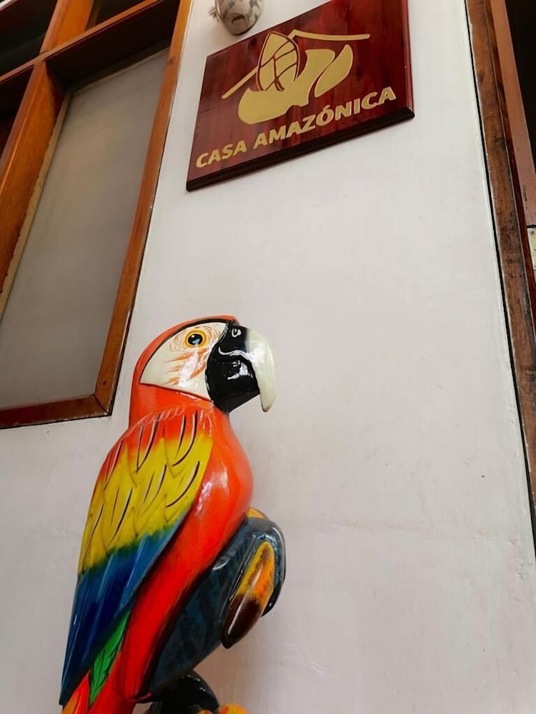 Casa Amazonica Iquitos - Iquitos