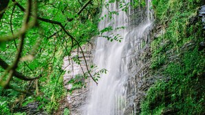 Uma cascata em área florestal, com uma pessoa de pé na água.