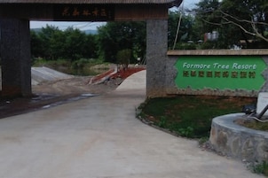 Uma trilha leva a um edifício com uma placa verde indicando 'Formore Tree Resort'.