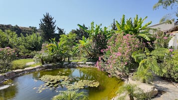 Jardim