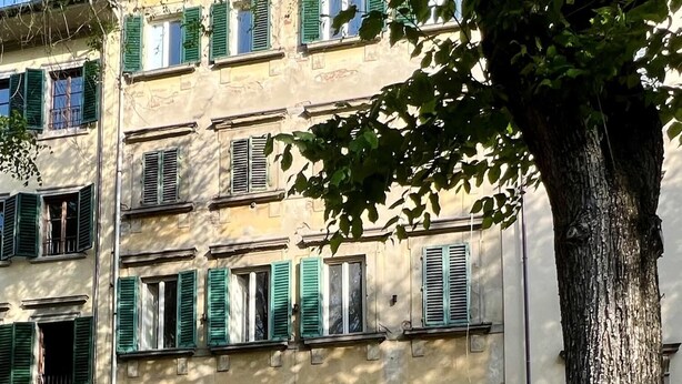 Um edifício com várias janelas e uma árvore na frente.