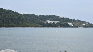 Vista costeira com uma colina coberta por árvores e edifícios.