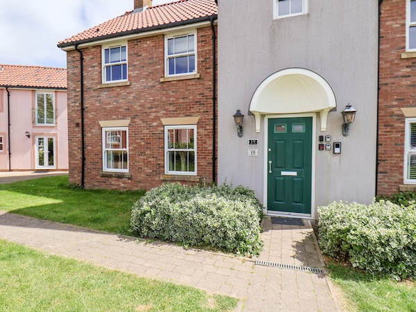 Kittiwakes - Hunmanby