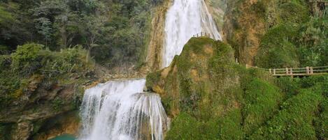 Uma cascata desce por um penhasco rochoso, rodeada por vegetação exuberante.