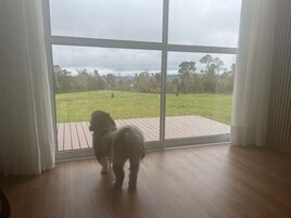 Quarto com uma janela grande, piso de madeira e vista para uma área externa gramada.