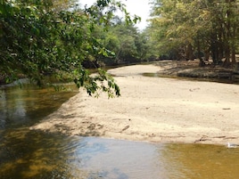 Margem de rio com árvores e uma área arenosa.