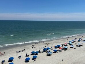 Condo, 2 quartos | Praia | Na praia 