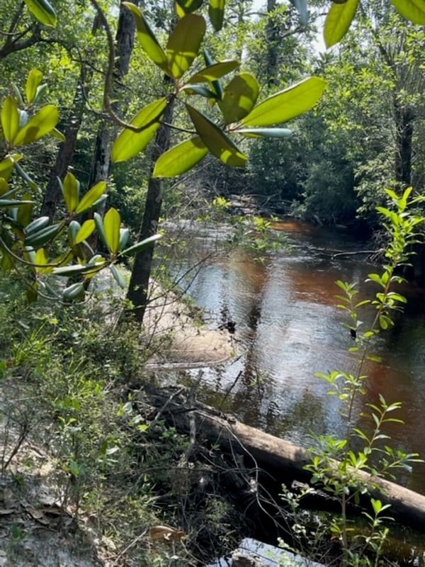 Golden Rv Retreat At Bear Creek - Florida