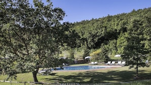 Uma área de piscina com espreguiçadeiras e guarda-sóis, rodeada por vegetação exuberante e árvores.