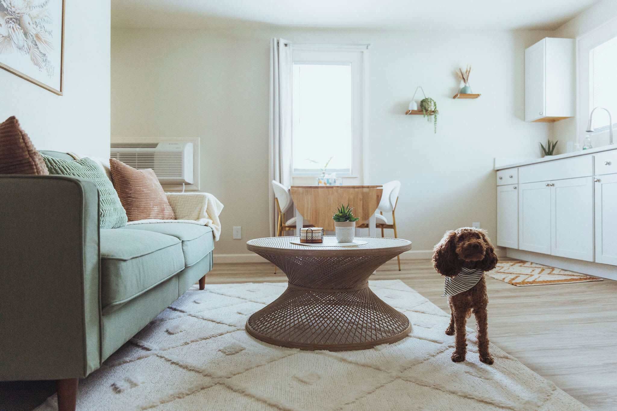 Lamont 6 1bed Pet-friendly Apt - Bluff City, TN