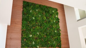 Paredes verticais com uma variedade de plantas e flores.
