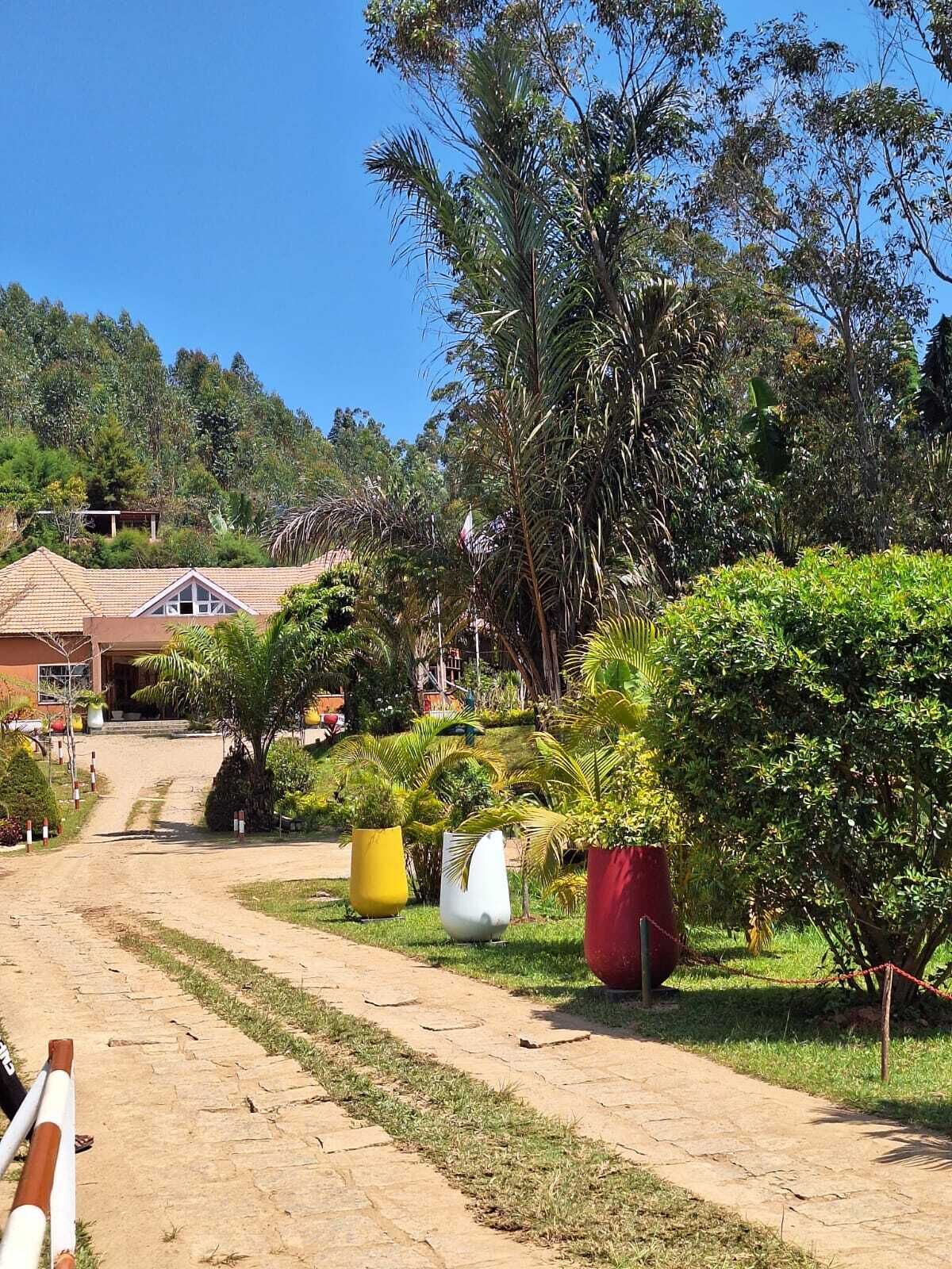 Um caminho leva a um edifício com telhado inclinado, cercado por vegetação exuberante e plantas em vasos.