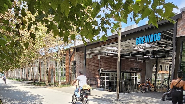 Uma trilha pavimentada bordeada por árvores, uma bicicleta estacionada perto de um edifício com uma placa indicando "BREWDOG", e uma pessoa caminhando ao longe.