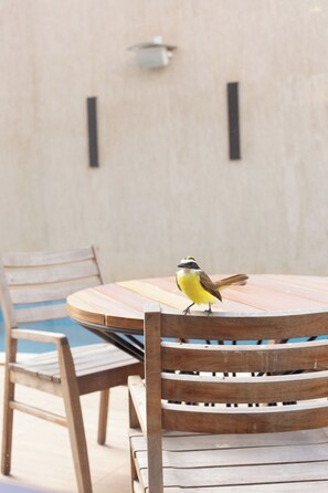 Terraço/pátio interior