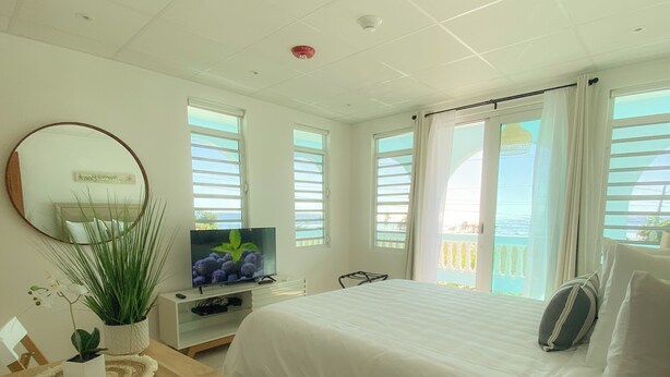 Quarto de hotel com uma cama grande, uma escrivaninha com cadeira, televisão e um vaso de plantas.