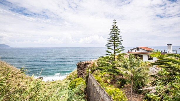 Vista costeira com uma árvore alta, uma casa pequena com telhado vermelho e o oceano ao fundo.