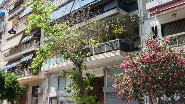 Edifício residencial com vários andares e varandas, algumas com plantas. Carros estacionados em frente.