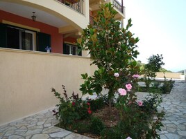 Apartamento | 1 quarto 