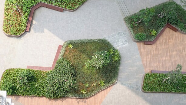 Vista aérea de um jardim ajardinado com diversos vasos de plantas verdes e um caminho pavimentado.