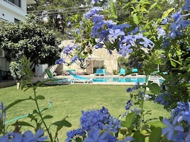 Uma área de piscina com espreguiçadeiras, um muro de pedra e vegetação ao redor.