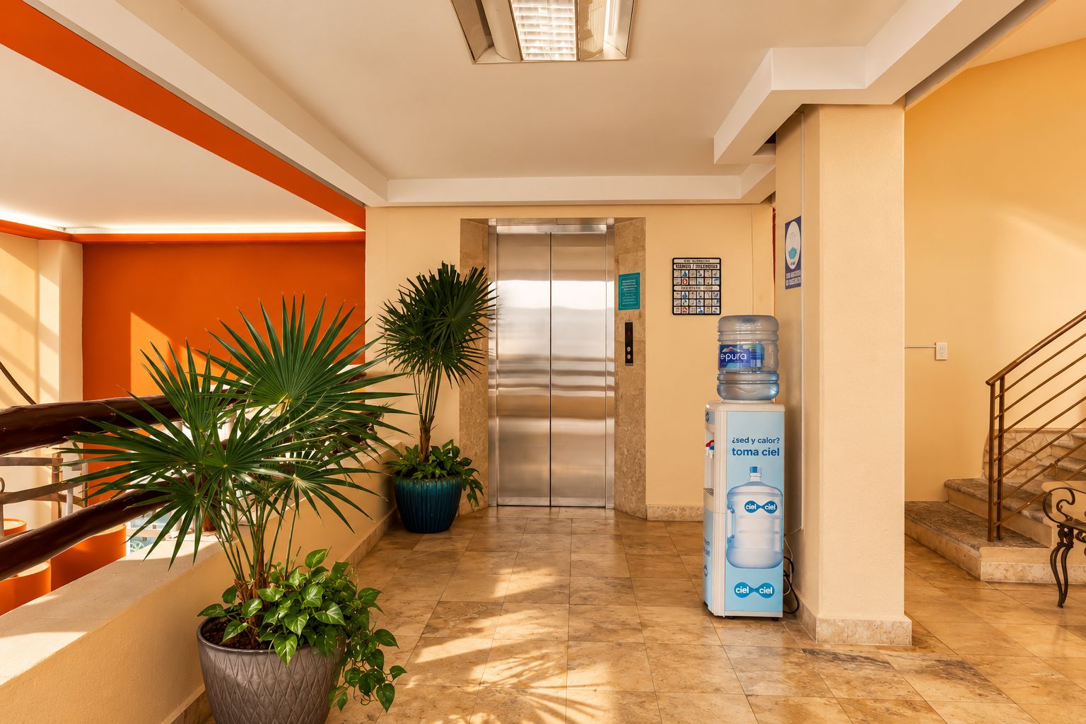 Corredor de hotel com bebedouro, plantas em vasos e elevador.