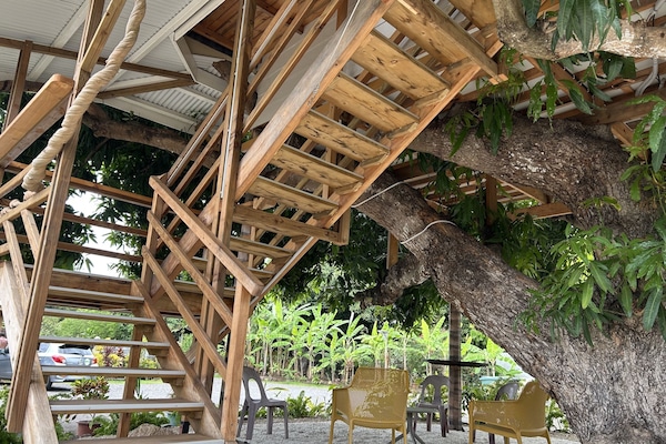 Casa na árvore panorâmico, suíte, vista para o jardim | Entrada da propriedade