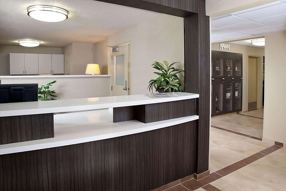 Best Place To Stay In Texas! 4 Modern Units, Pet-friendly, Full Kitchen! - Plano, TX