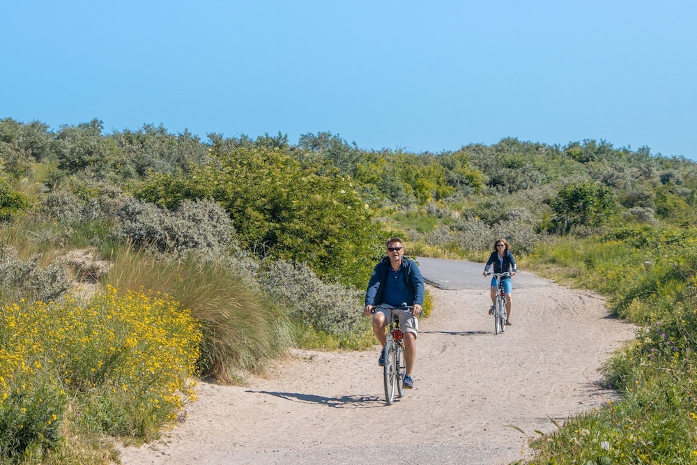 Luxury Dune Villa On A Holiday Park - Zeeland