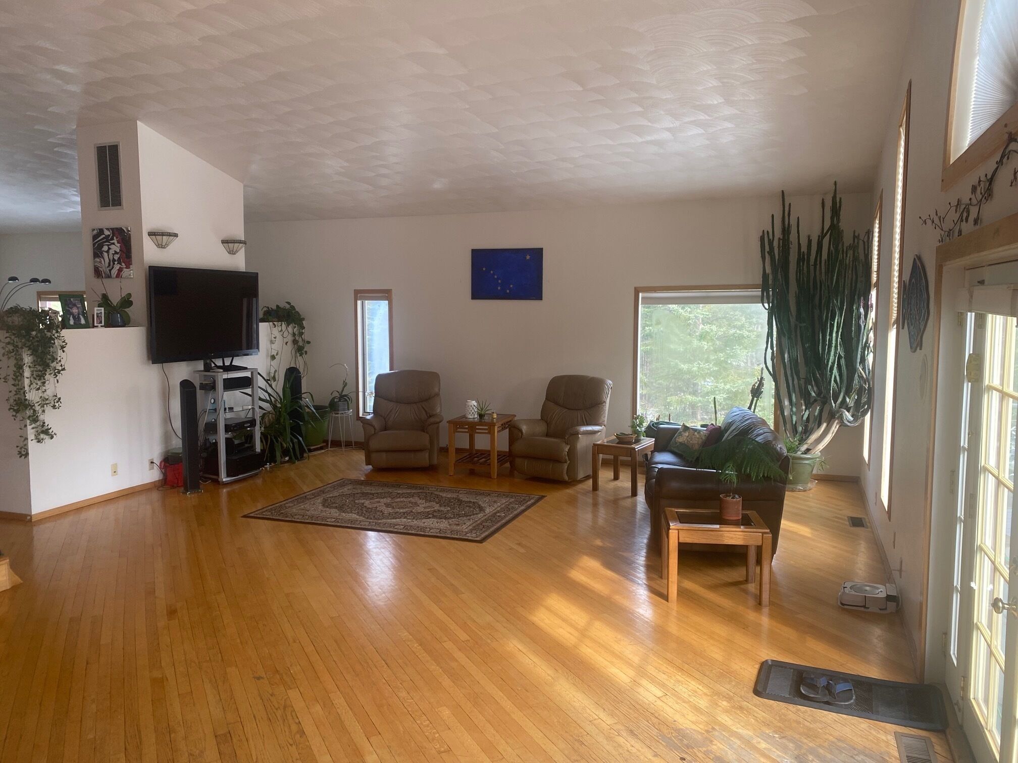 Way More Fun & Affordable Than Multiple Hotel Rooms-generational Family, Groups! - University Lake, Anchorage