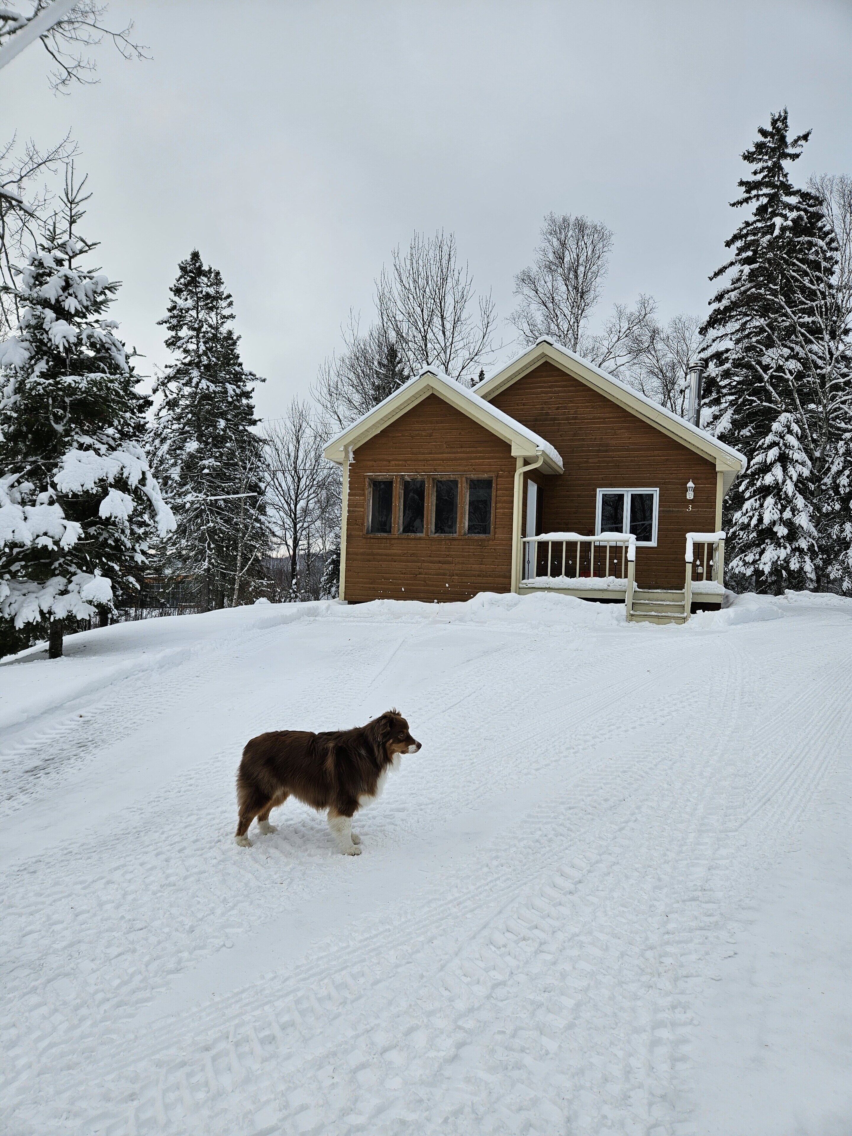Uma casa de madeira com varanda, rodeada por árvores cobertas de neve.