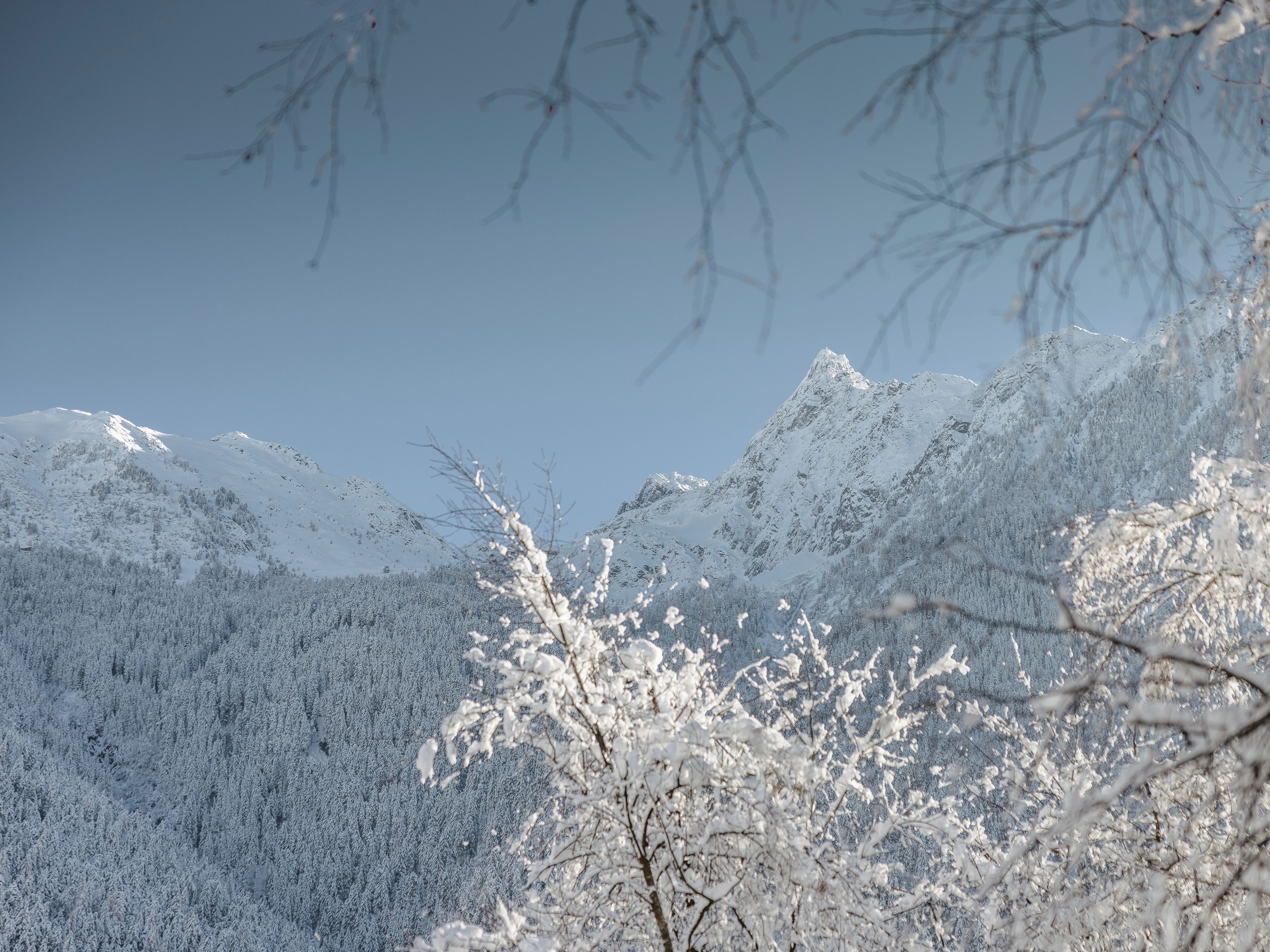 Paisagem montanhosa coberta de neve com árvores em primeiro plano.
