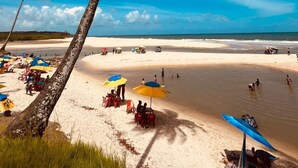 Uma praia com palmeiras, guarda-sóis e pessoas.